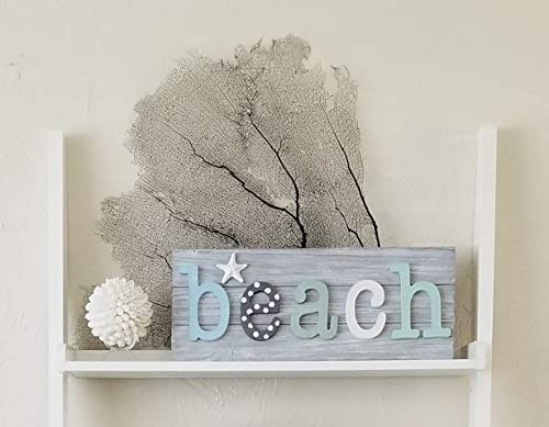 Tumbler Home Real White Seashell Sphere with Lucite Stand | 3 Inches Wide | Beach House Shelf Decor