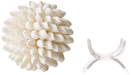 Tumbler Home Real White Seashell Sphere with Lucite Stand | 3 Inches Wide | Beach House Shelf Decor