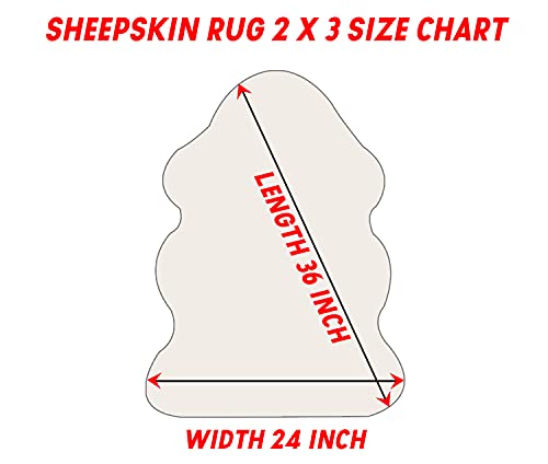 Real Sheepskin Area Rug - Single Pelt Sheep Skin Fur 2x3 Rug (Ivory White)