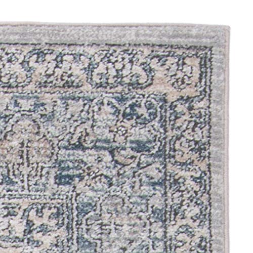 SAFAVIEH Oregon Collection 8' x 10' Light Blue/Ivory ORE877M Oriental Distressed Non-Shedding Living Room Bedroom Dining Home Office Area Rug