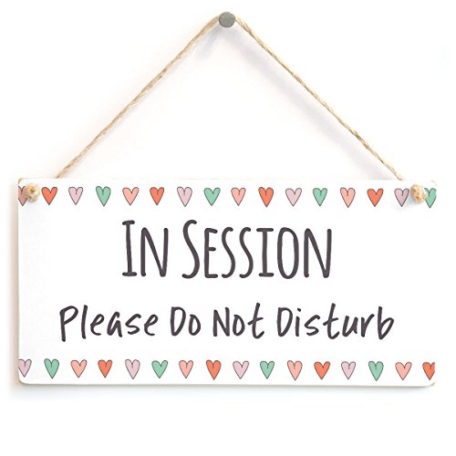 Meijiafei in Session Please Do Not Disturb - Functional Do Not Disturb Home Office Door Plaque Love Hearts 10" X 5"