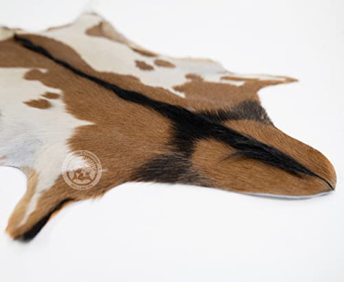 Genuine Goatskin Rug Goat Skin Goat Hide Goat Skin Rug Exotic 2 x 3 ft.