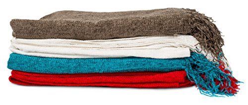 BIRDROCK HOME Internet’s Best Chenille Throw Blankets - Taupe - Ultra Soft Couch Blanket with Fringe - Light Weight Sofa Throw - 100% Microfiber Polyester - Easy Travel - Bed - 50 x 60