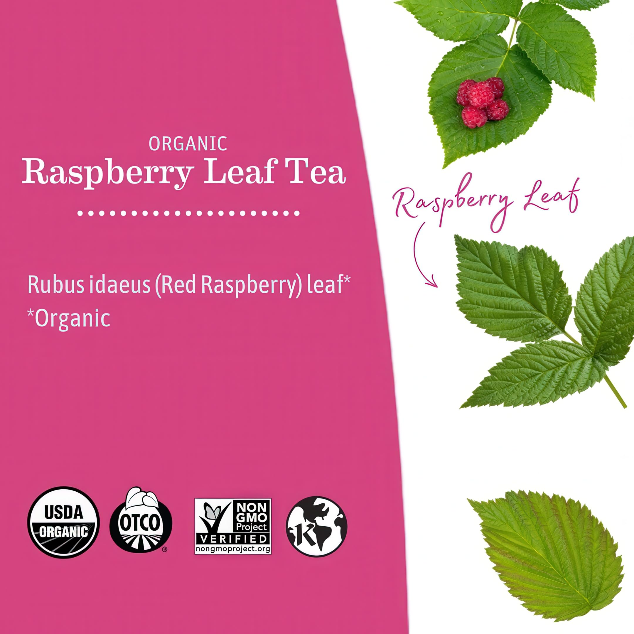 Earth Mama Organic Raspberry Leaf Tea Bags |Labor Tonic + Menstrual Support, 16 Teabags Per Box (3-Pack)