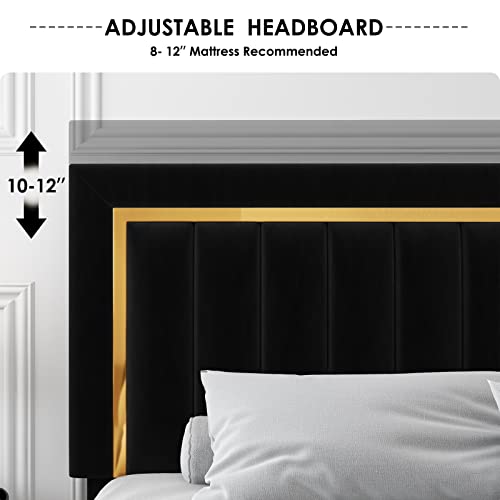 HITHOS Full Size Bed Frame with Adjustable Tufted Headboard, Velvet Upholstered Platform Bed Frame with Gold Trim, Heavy Duty Mattress Foundation with Steel Frame, Easy-Assembly Slats (Black, Full)