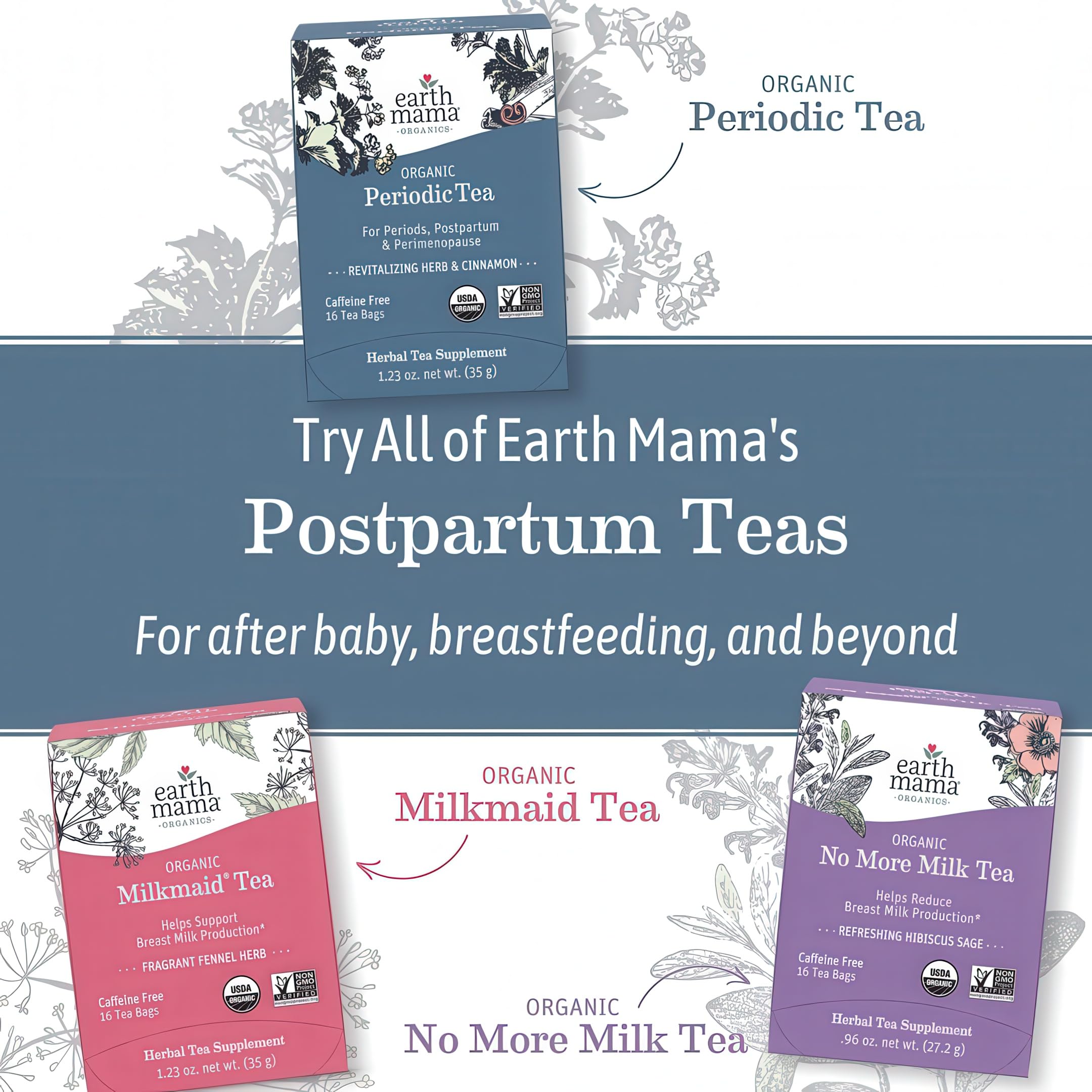 Earth Mama Organic Raspberry Leaf Tea Bags |Labor Tonic + Menstrual Support, 16 Teabags Per Box (3-Pack)