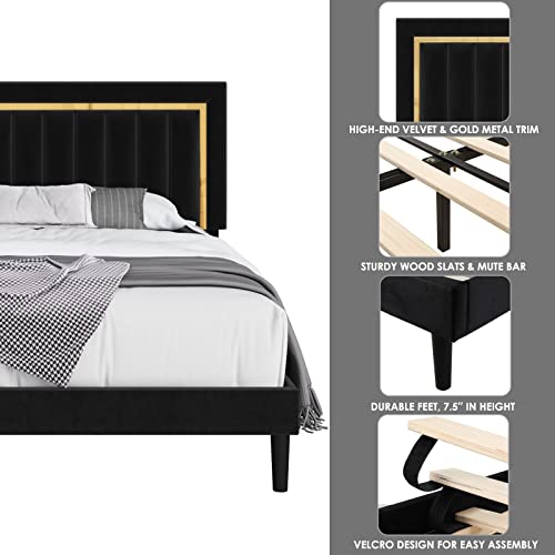 HITHOS Full Size Bed Frame with Adjustable Tufted Headboard, Velvet Upholstered Platform Bed Frame with Gold Trim, Heavy Duty Mattress Foundation with Steel Frame, Easy-Assembly Slats (Black, Full)