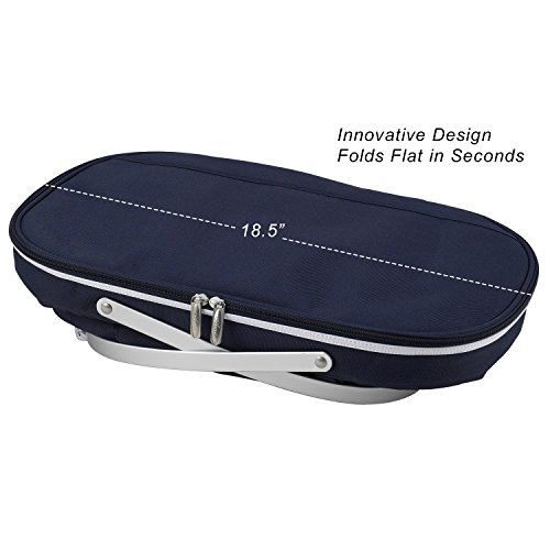 Picnic at Ascot Patented Collapsible Insulated Picnic Basket Equipped with Service For 4- Designed and Assembled in USA