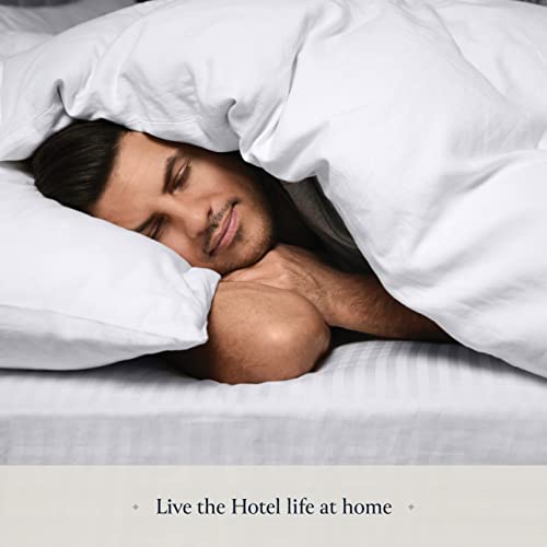 BELADOR Queen Comforter All-Season Duvet Insert Queen Size Bed Comforter - Down Alternative Comforters, Mid-Plush Lightweight Comforter, Box Quilted Siliconized Fiberfill Oeko-Tex Hotel Comforter