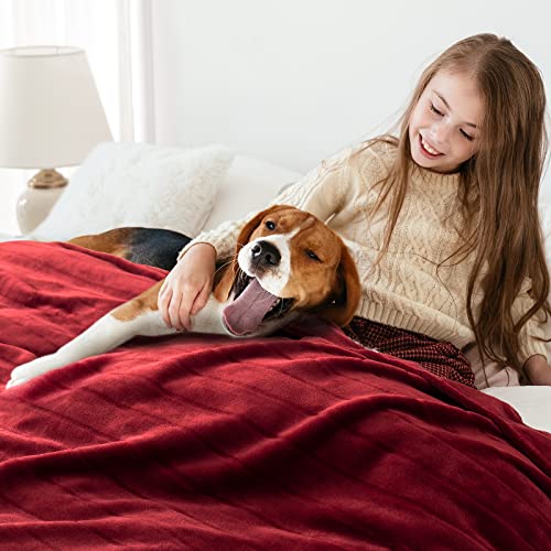 Bertte Plush Throw Super Soft Fuzzy Warm Blanket | 330 GSM Lightweight Fluffy Cozy Luxury Decorative Stripe Blanket for Bed Couch - 50"x 60", Burgundy