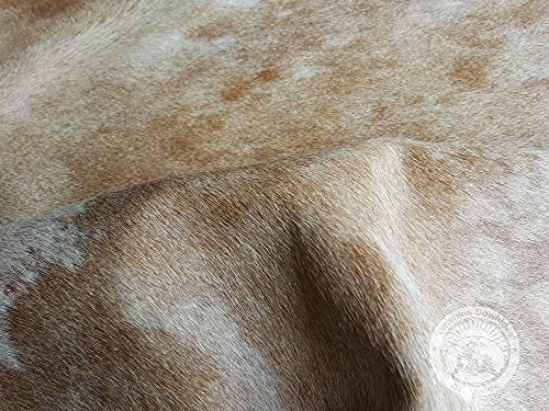 Genuine Palomino White and Beige Cowhide Rug 6 x 7-8 ft. 180 x 240 cm