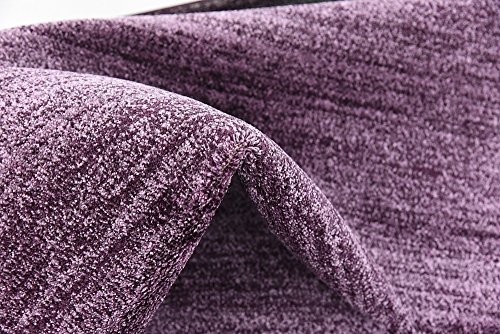 Unique Loom Del Mar Collection Area Rug-Transitional Inspired with Modern Contemporary Design, 6' 0 x 9' 0 Rectangular, Violet/Ivory