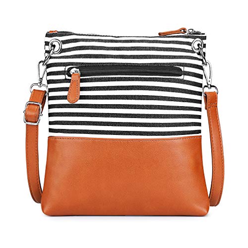 Newshows Women Lightweight Crossbody Bag Purse with Tassel Medium Canvas PU Leather, Zipper
