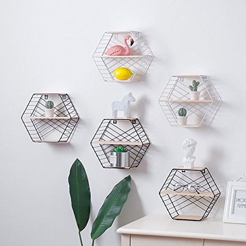 Doremy Floating Shelf,Wall Mounted Modern Simple Geometry Wood Metal Wire Hexagon Plant Flower Wall Decoration Wall Storage Shelves Display Racks Perfect for Bedroom,Living Room,Office (White)