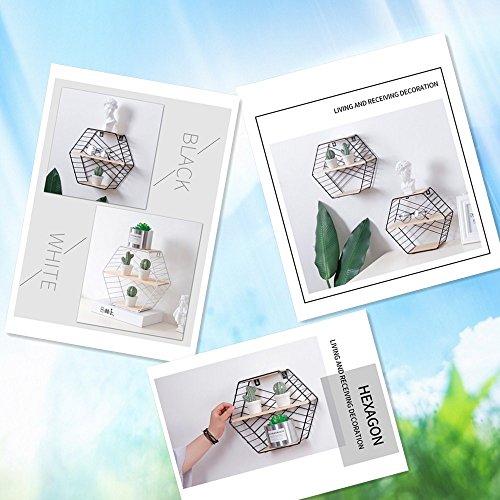 Doremy Floating Shelf,Wall Mounted Modern Simple Geometry Wood Metal Wire Hexagon Plant Flower Wall Decoration Wall Storage Shelves Display Racks Perfect for Bedroom,Living Room,Office (White)