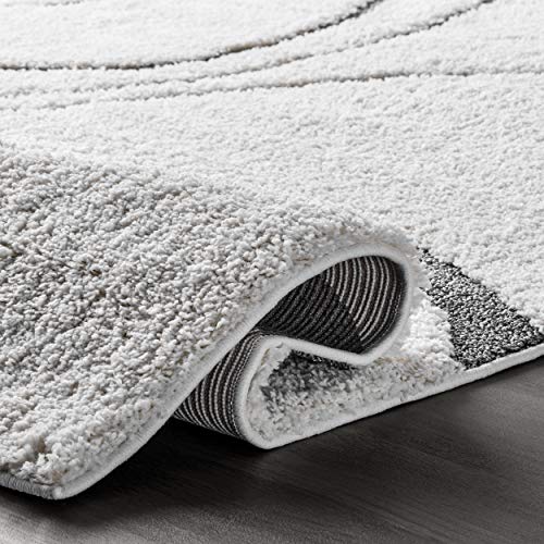 nuLOOM Carolyn Cozy Soft & Plush Shag Area Rug, 4' x 6', Beige