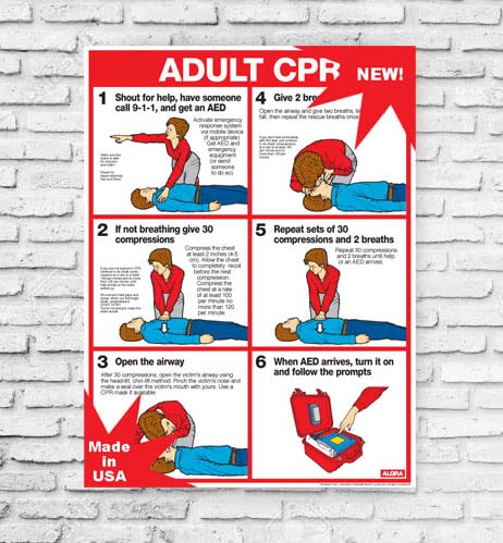 CPR for Adults 18" X 24" Laminated Poster - 2011