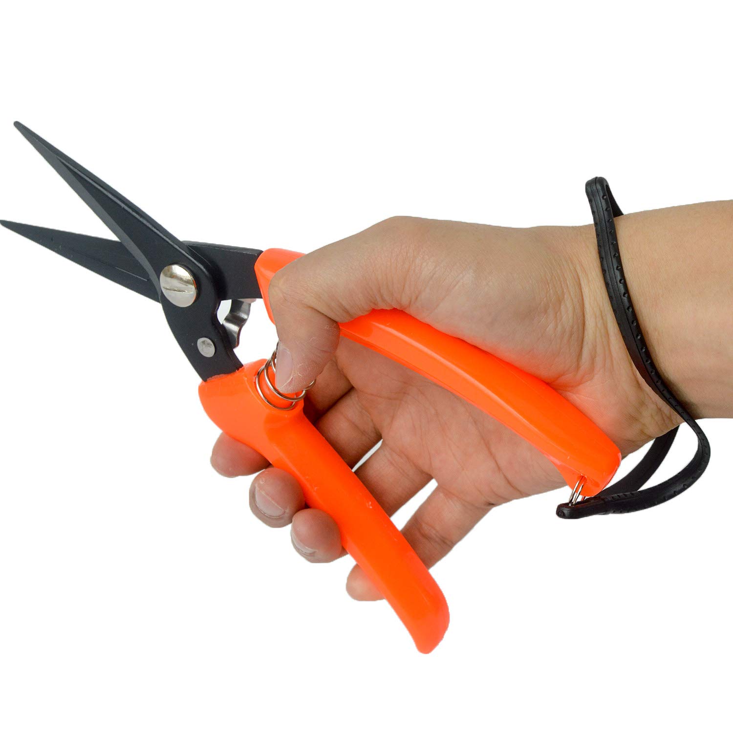 Hoof Trimmers Goat Hoof Trimming Shears Nail Clippers for Sheep, Alpaca, Lamb, Pig Hooves Multiuse Carbon Steel Trimmer
