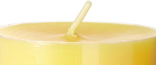 Zest Candle 12-Piece Tealight Candles, Mega Oversized Yellow s