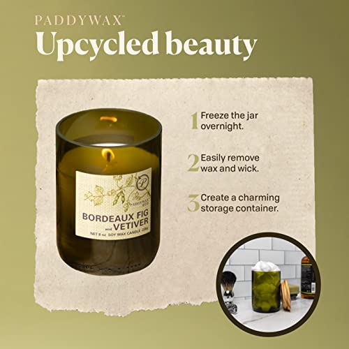 Paddywax Eco Collection Scented Soy Wax Jar Candle, 8-Ounce, Bordeaux Fig & Vetiver