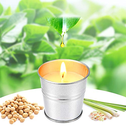 Hausware Citronella Candles Outdoor Indoor - 2.5 oz Scented Candles Set 12 Pack Natural Soy Wax citronella Candles for Garden Patio Yard Home Balcony Camping Backyard