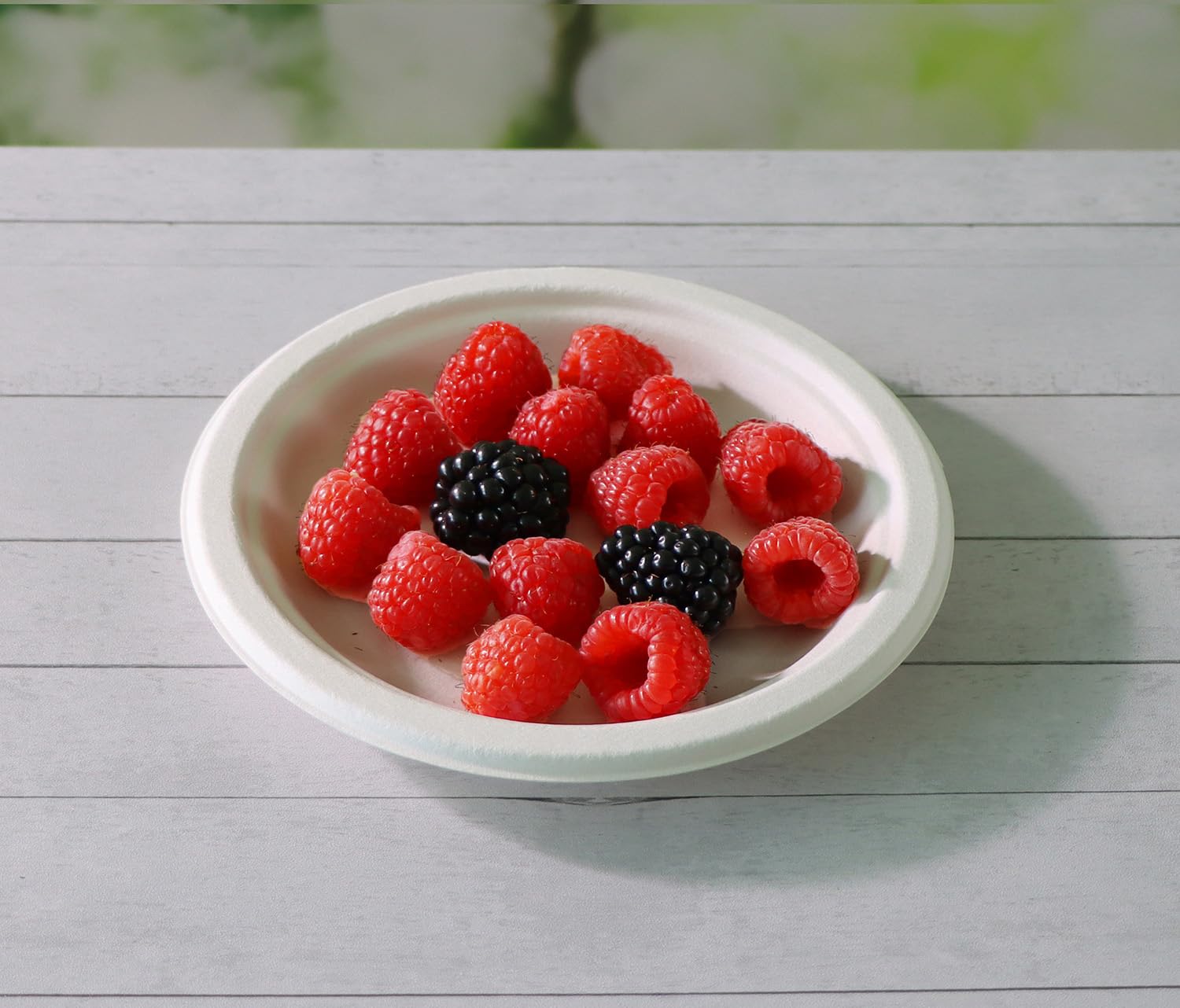 CantaGreen 6 inch Compostable Dessert Plates,100 Count Heavyduty Sugarcane/Bagasse and Bamboo Fibre Biodegradable Disposable Paper Plate