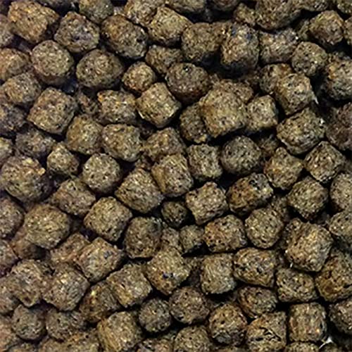 The Pond Guy Staple Fish Food for Backyard Koi & Goldfish, Choice Floating Pellets for Fish Wellness & Health, Smart Nutrition for Clean Ponds, 5 lbs