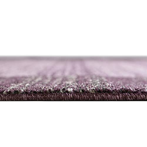 Unique Loom Del Mar Collection Area Rug-Transitional Inspired with Modern Contemporary Design, 3' 3 x 5' 3 Rectangular, Violet/Ivory