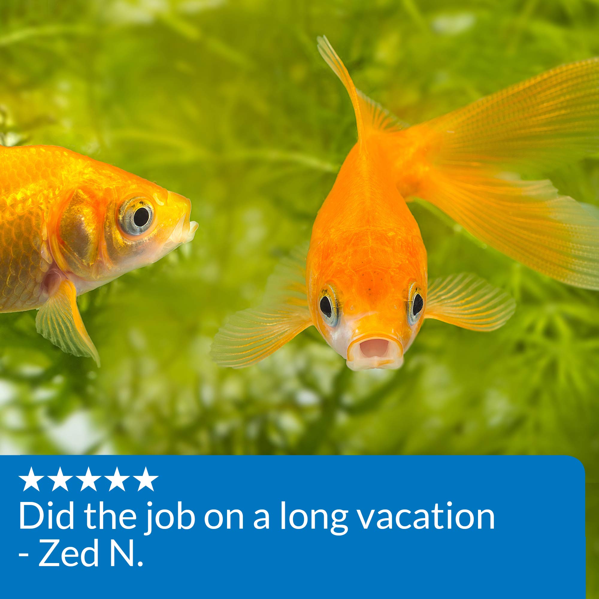 API Vacation Pyramid Fish Feeder 14-Day 1.2-Ounce Automatic Fish Feeder (3-Pack)
