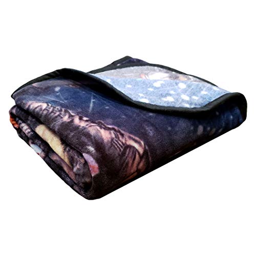 Marvel's Avengers Endgame, "Heroes Defense" Silk Touch Throw Blanket, 40" x 50", Multi Color