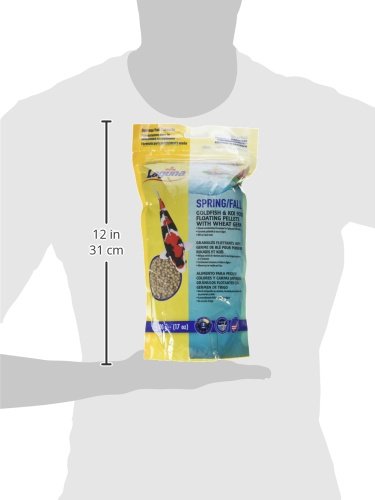 Laguna Spring & Fall Floating Food with Wheat Germ, 17 oz