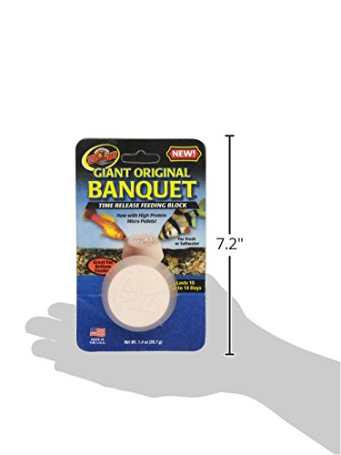 Zoo Med Laboratories AZMBB3 Giant Banquet Block Feeder, 1 Count (Pack of 1)