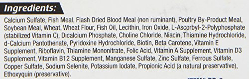 Zoo Med Laboratories AZMBB3 Giant Banquet Block Feeder, 1 Count (Pack of 1)