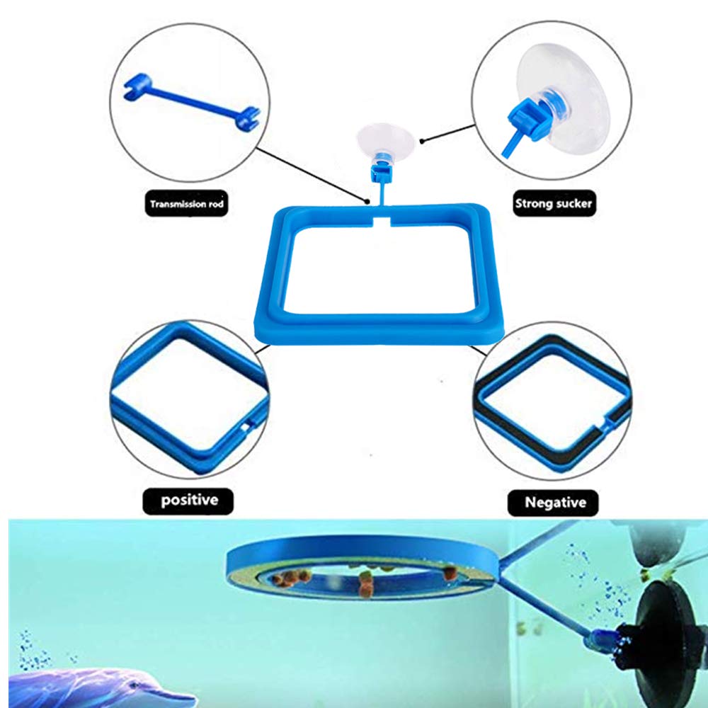 2 Pcs Fish Feeding Ring, Fish Safe Floating Food Feeder Circle Blue, with Suction Cup Easy to Install Aquarium, Square and Round Shape Fish Tank Towels - for Guppy, Betta, Goldfish, Etc. (Blue)¡