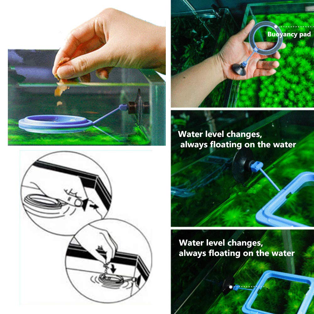 2 Pcs Fish Feeding Ring, Fish Safe Floating Food Feeder Circle Blue, with Suction Cup Easy to Install Aquarium, Square and Round Shape Fish Tank Towels - for Guppy, Betta, Goldfish, Etc. (Blue)¡