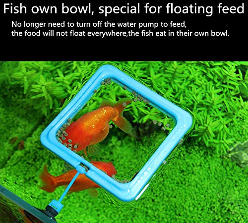 2 Pcs Fish Feeding Ring, Fish Safe Floating Food Feeder Circle Blue, with Suction Cup Easy to Install Aquarium, Square and Round Shape Fish Tank Towels - for Guppy, Betta, Goldfish, Etc. (Blue)¡