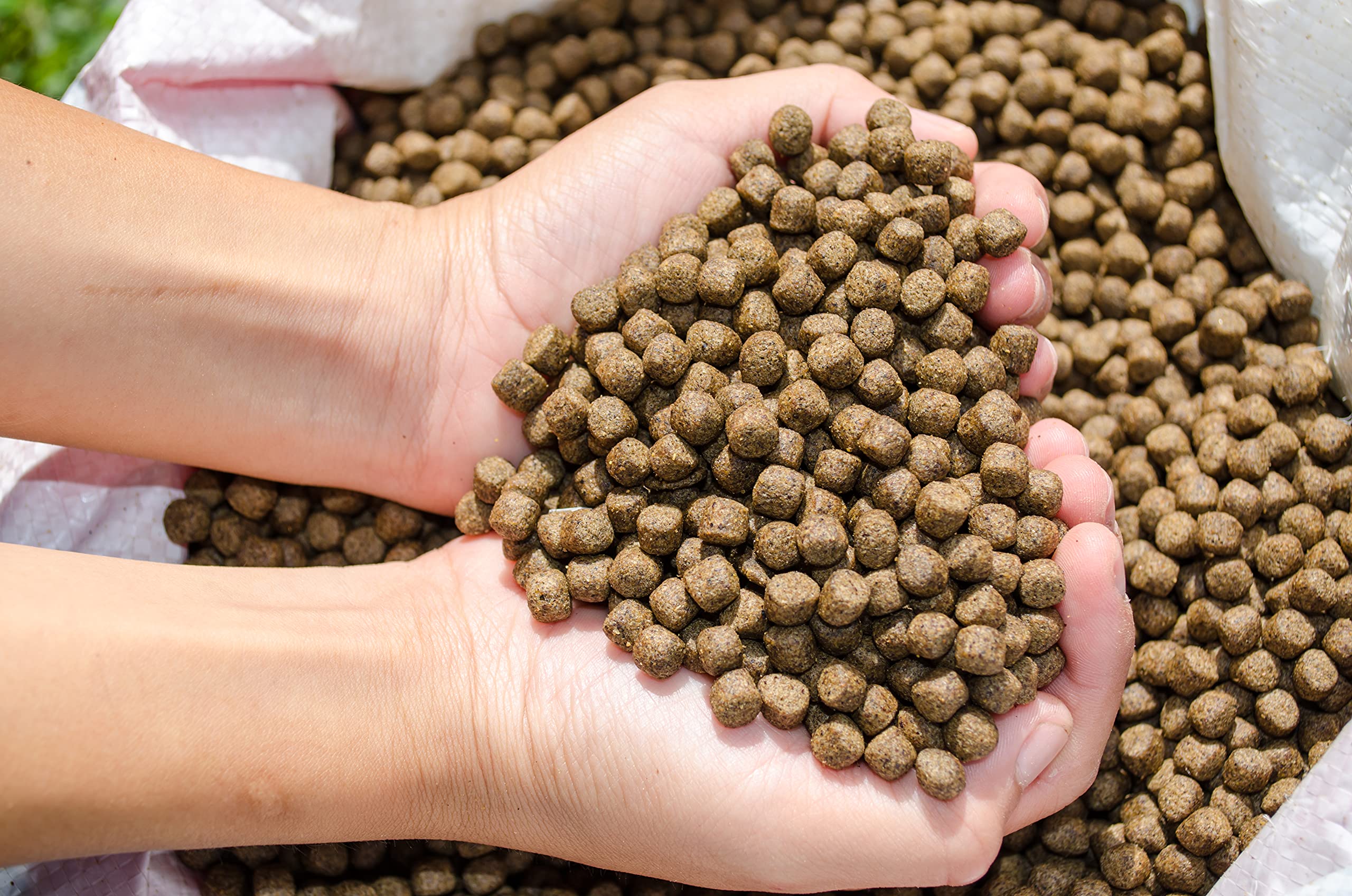 FAMILY FARM AND FEED | Premium Floating Fish Food | Pond and Lake | Pellets | 2 Pounds