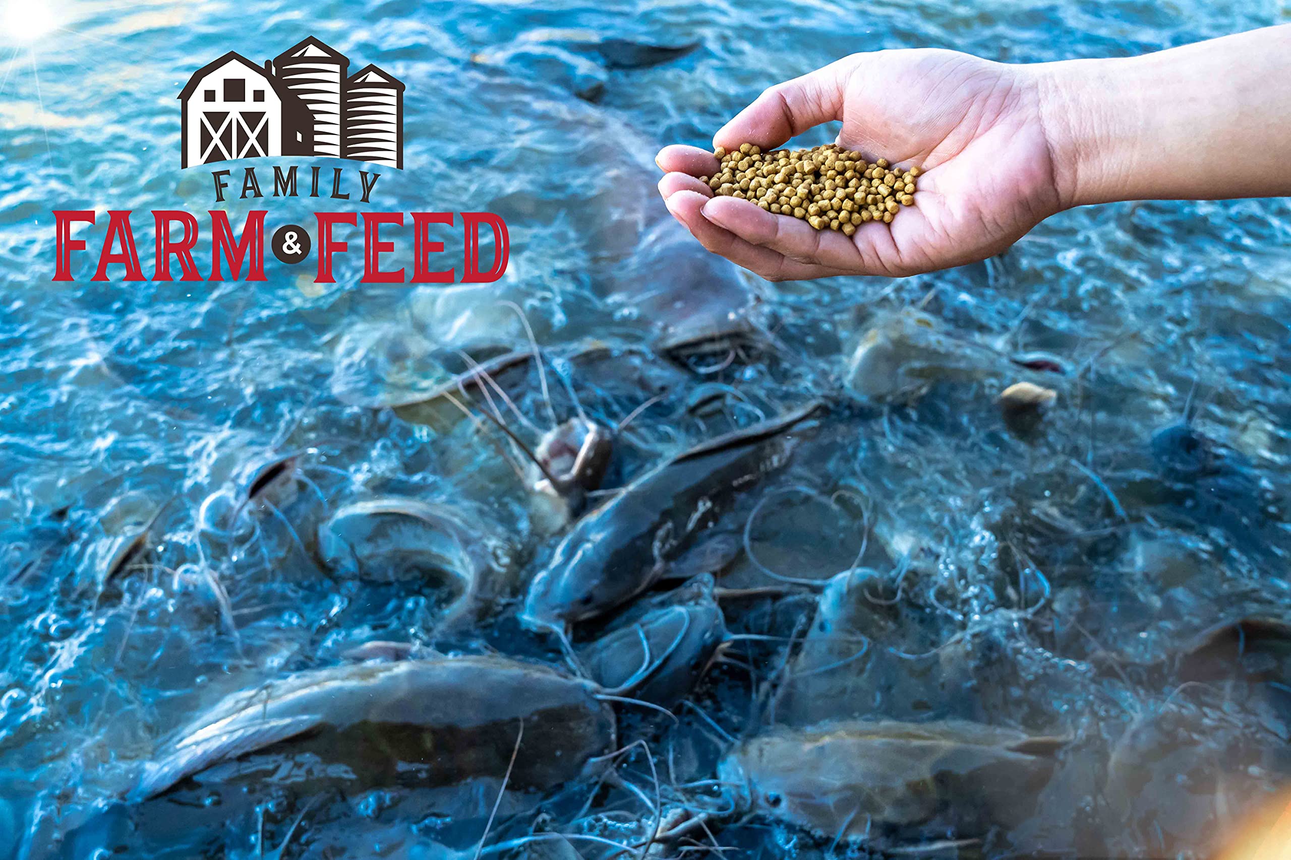 FAMILY FARM AND FEED | Premium Floating Fish Food | Pond and Lake | Pellets | 2 Pounds