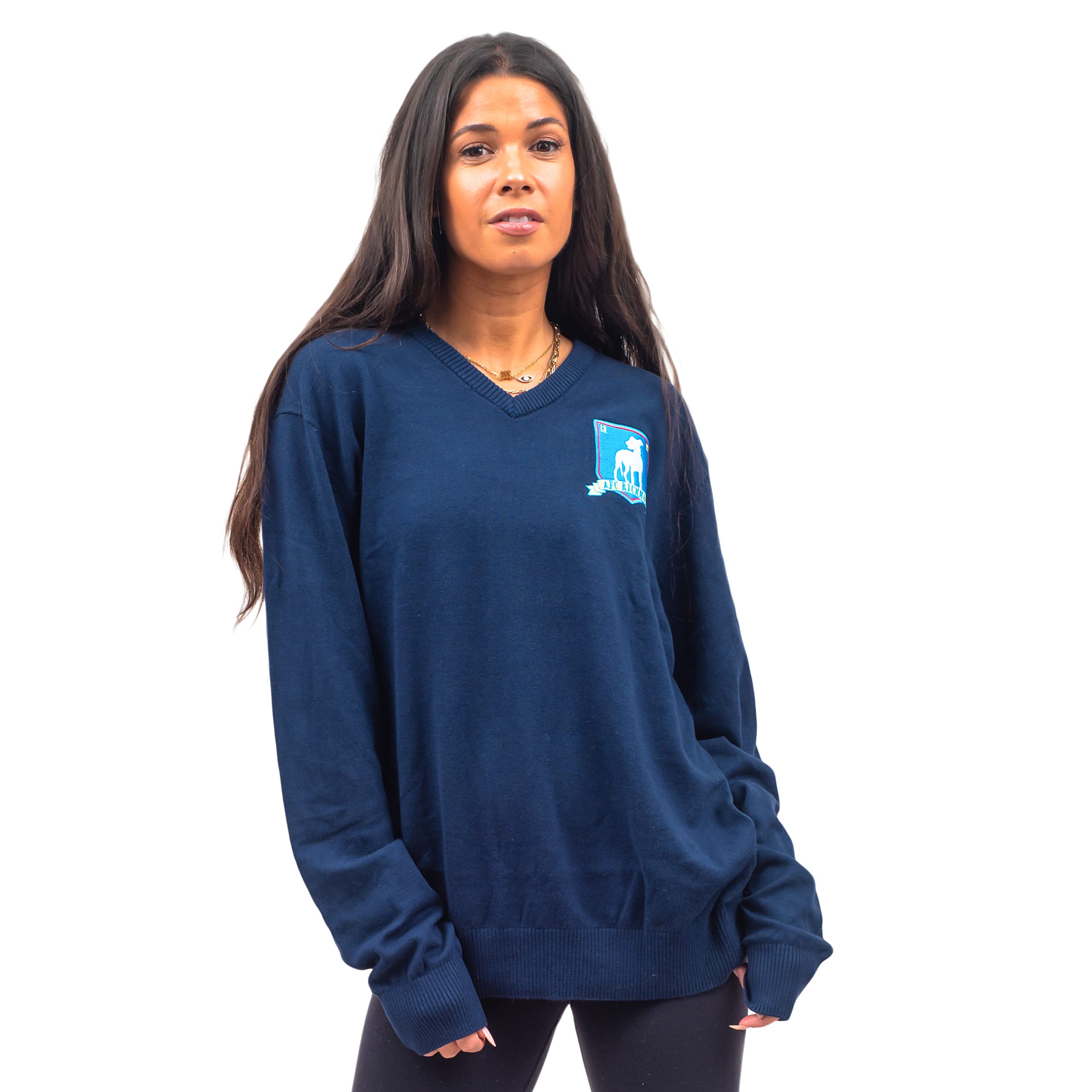 Ripple Junction Ted Lasso Coach AFC Richmond Sweater Costume Long-Sleeve Sweatshirts for Cosplay & Halloween Blue