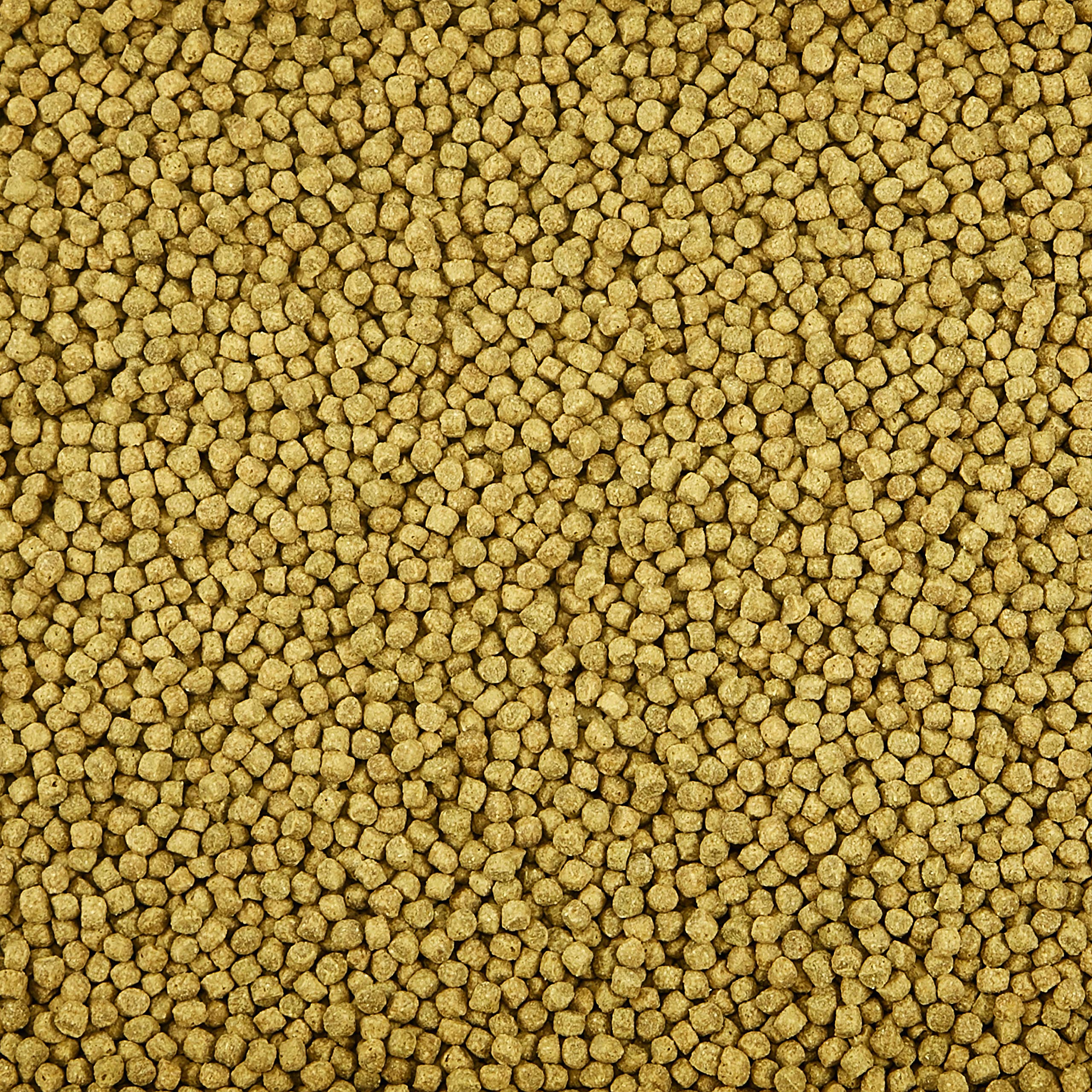 Kaytee Koi's Choice Koi Floating Fish Food, 3 Pound