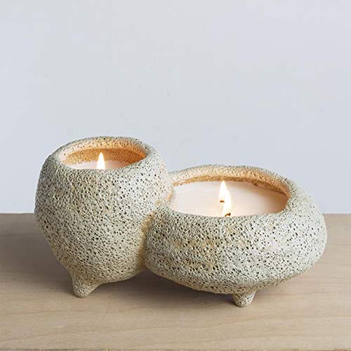 Northern Lights The Sill Agave Nectar & Dune Primrose Candle / Planter 16oz 52755