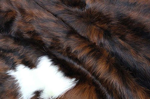 rodeo Superior Brindle Brown Chocolate Nutella Large Size