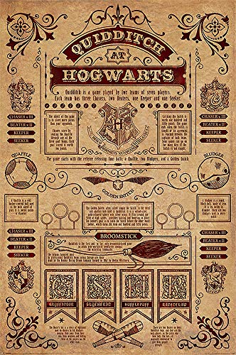 Harry Potter - Movie Poster/Print (Quidditch at Hogwarts) (Size: 24 inches x 36 inches)