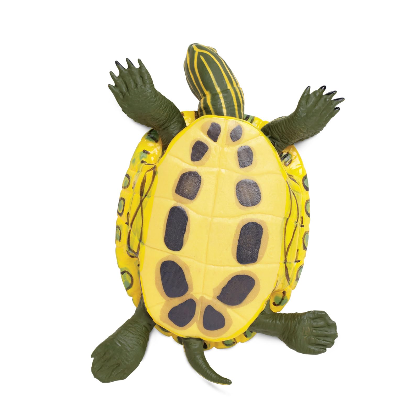 Safari Ltd. Red-Eared Slider Turtle Figurine - Realistic 5.25" Model Figure - Educational Toy for Boys, Girls, and Kids Ages 18M+