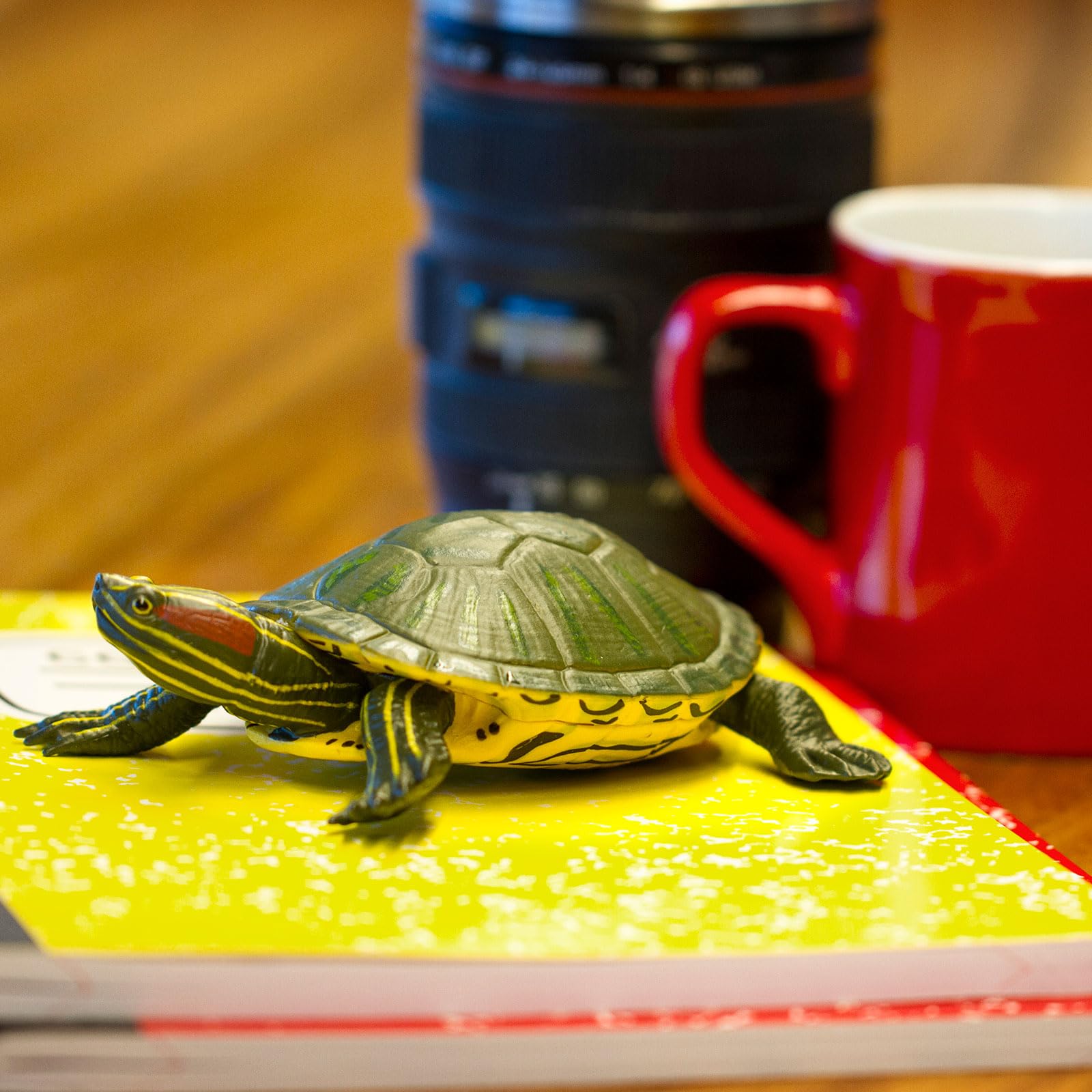 Safari Ltd. Red-Eared Slider Turtle Figurine - Realistic 5.25" Model Figure - Educational Toy for Boys, Girls, and Kids Ages 18M+