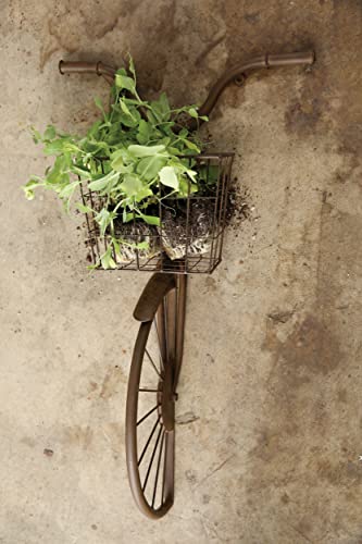 Creative Co-op DA6000 Iron Bike Shape Wall Decor with Basket, Rust