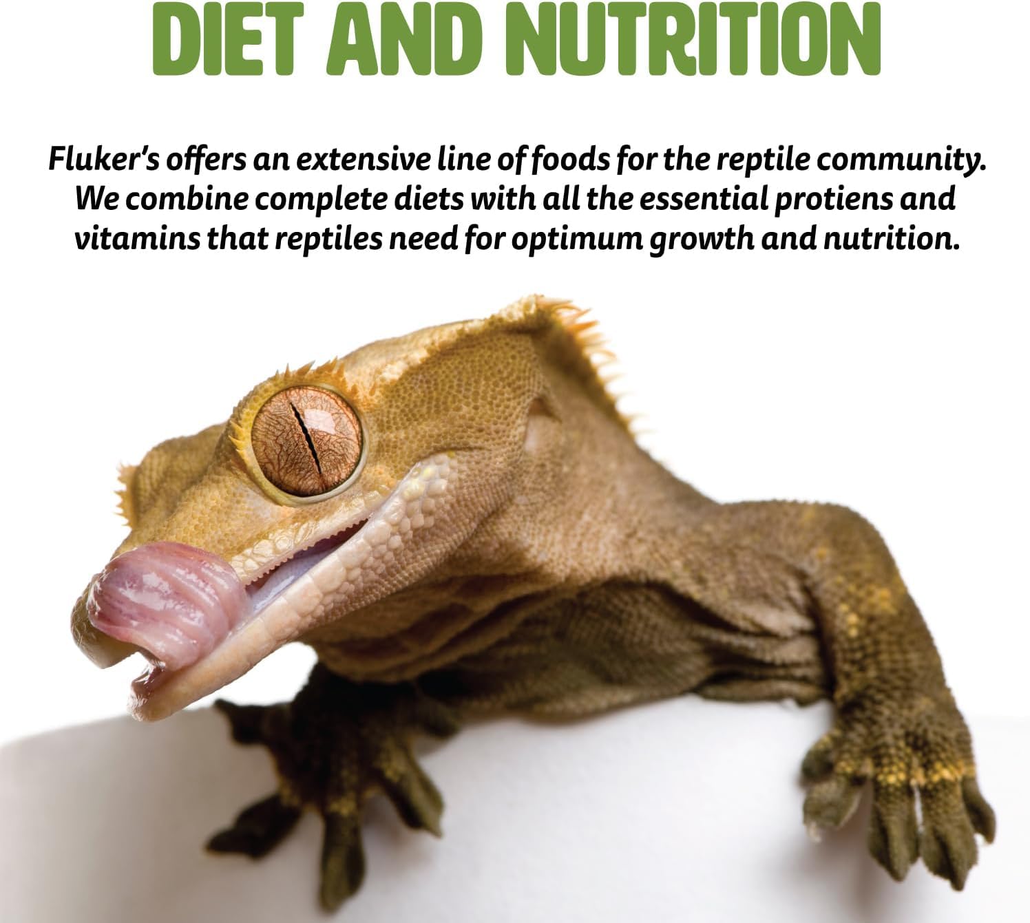 Fluker's Grub Bag Turtle Treats, Insect Blend, High Protein Freeze Dried River Shrimp, Crickets, and Mealworms, For Aquatic Turtles, Amphibians, and Reptiles, 12 oz