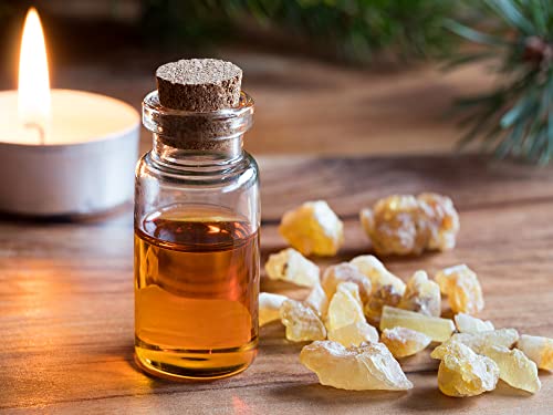 Axe Sickle 10 mL Cork Stopper Glass Bottles Mini Transparent Glass Bottles 24 Pcs.