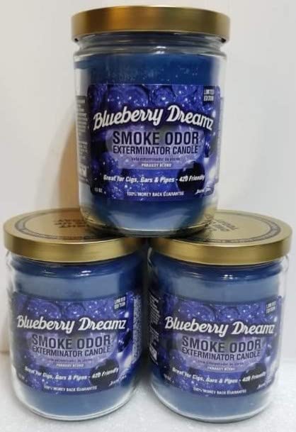 Smoke Odor Exterminator 13 oz Jar Candles Blueberry Dreamz, Set of Three Candles