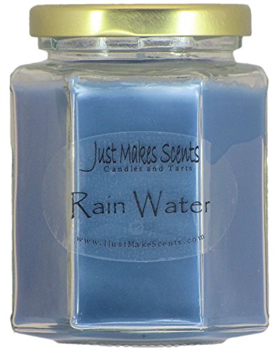 Rain Water Scented Blended Soy Candle | Clean Fresh Fragrance | Hand Poured in The USA by Just Makes Scents Candles & Gifts
